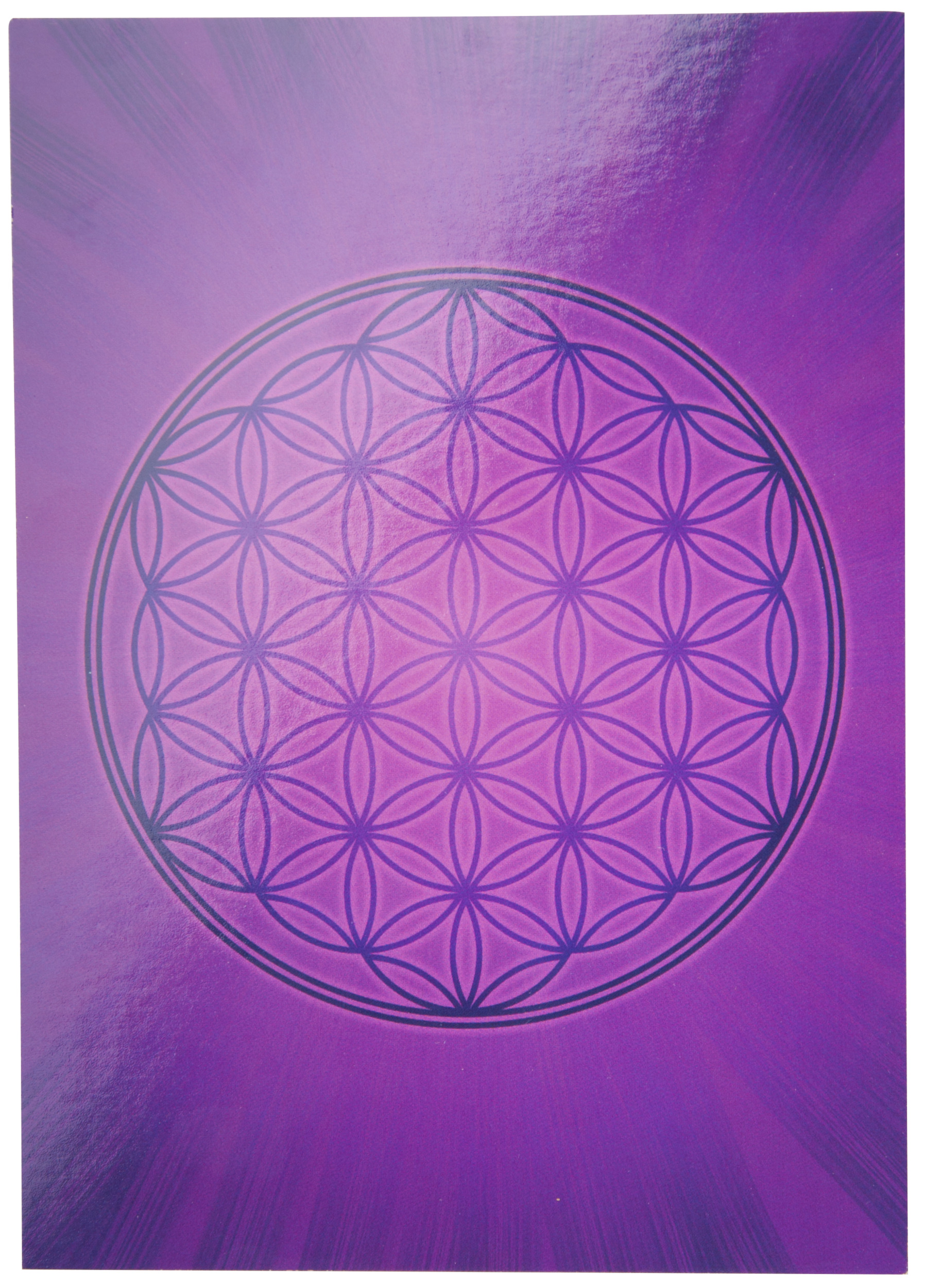 Flower of Life Postcard | Berk - Inner Worlds